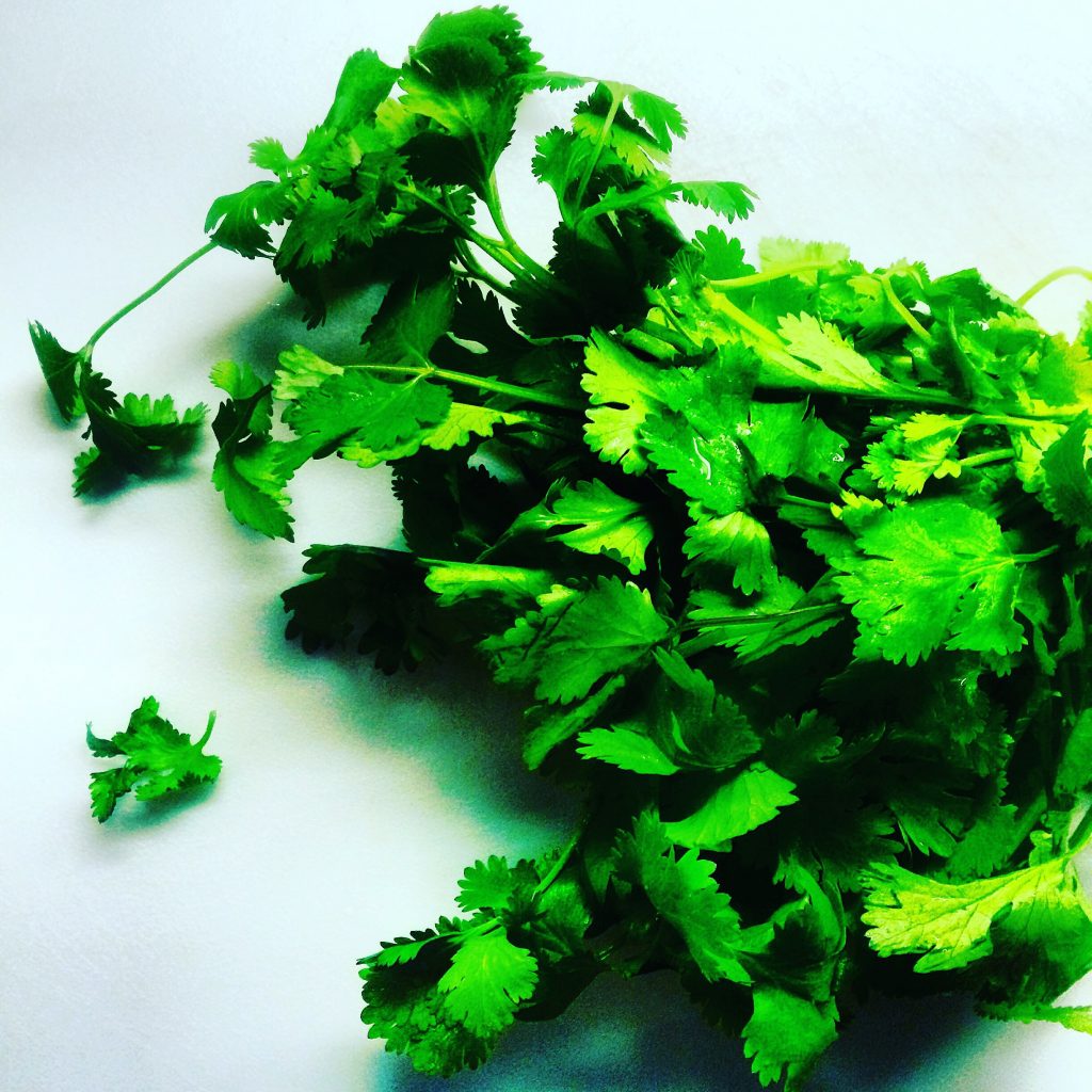 10 Reasons to Consume Cilantro - Eat Your Greens Out