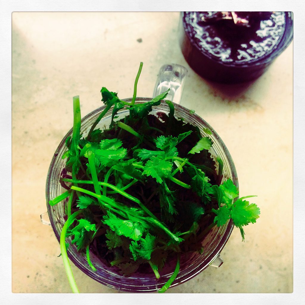 10 Reasons to Consume Cilantro - Eat Your Greens Out